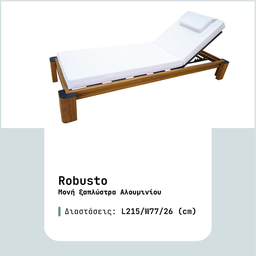 ΞΑΠΛΩΣΤΡΑ ΑΛΟΥΜΙΝΙΟΥ ROBUSTO - ΠΙΚΡΑΚΗΣ Α.Ε. ΒΙΟΜΗΧΑΝΙΑ ΑΛΟΥΜΙΝΙΟΥ